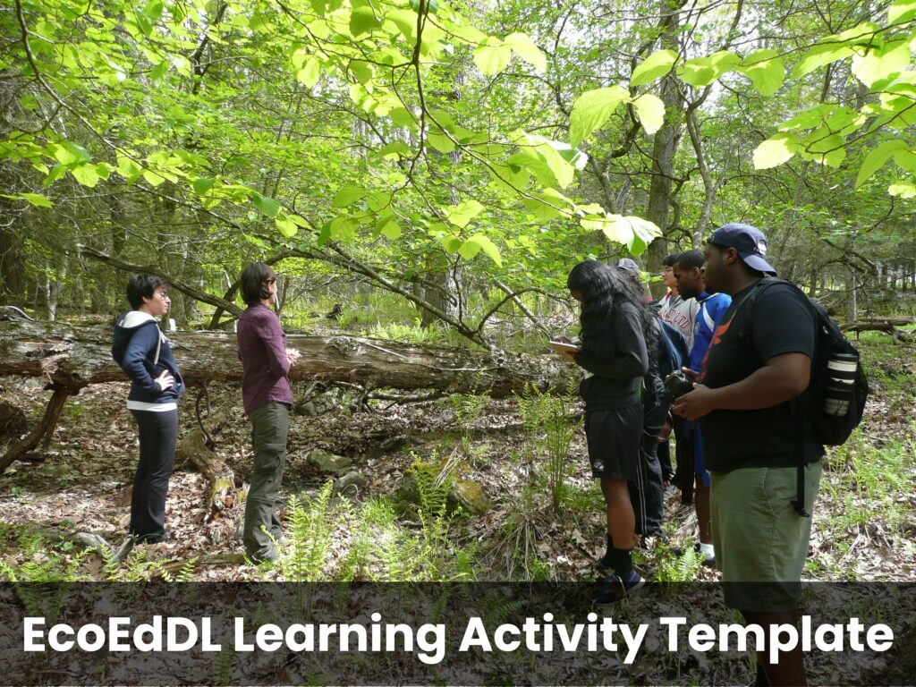 Templates – Four-Dimensional Ecological Education