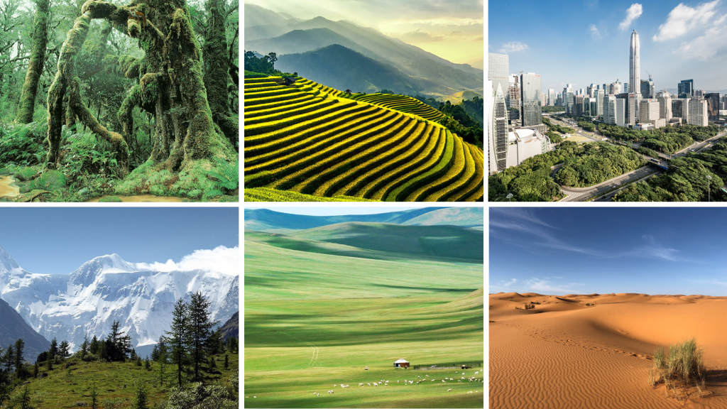 About us – Asian Ecology