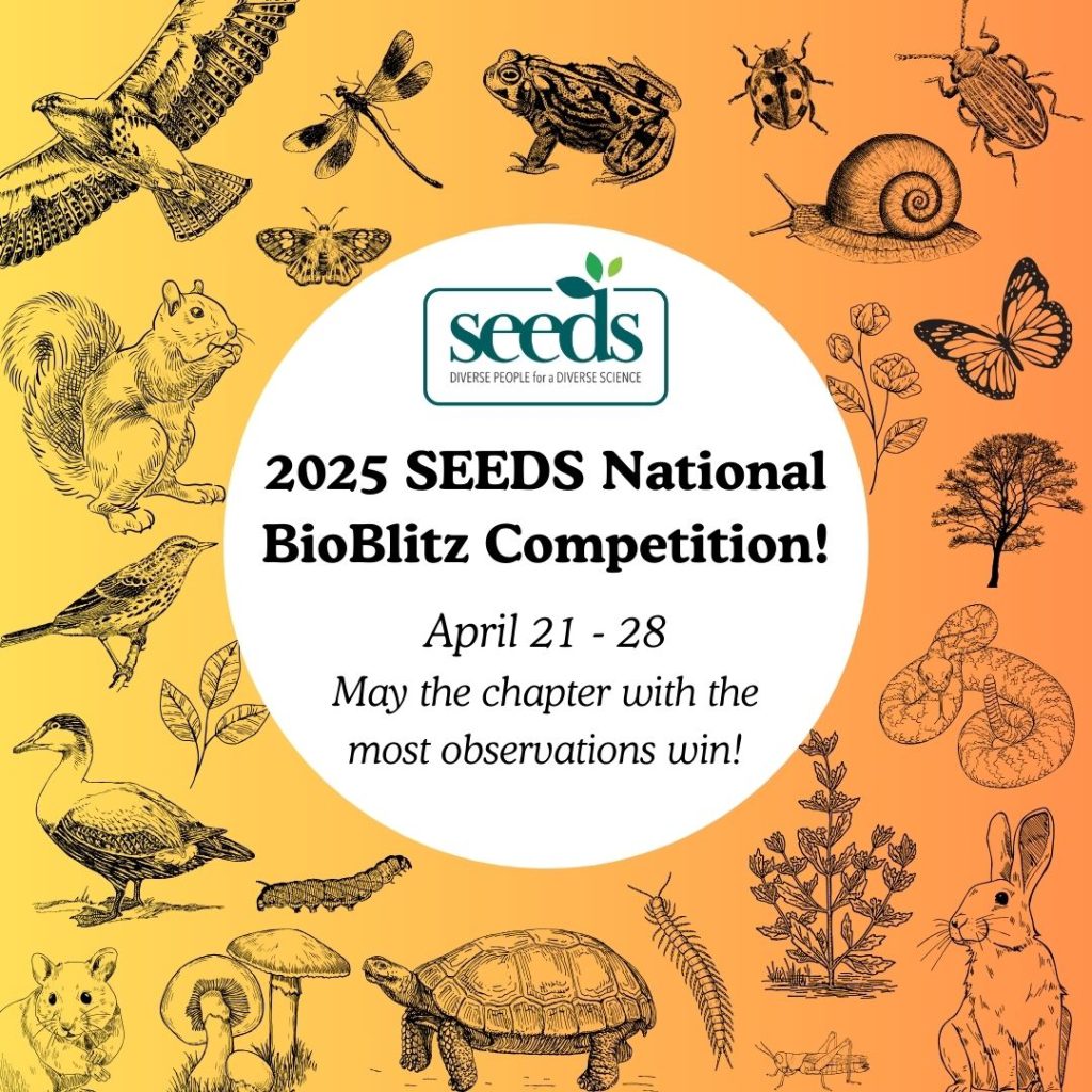 2025 SEEDS National BioBlitz Competition – SEEDS
