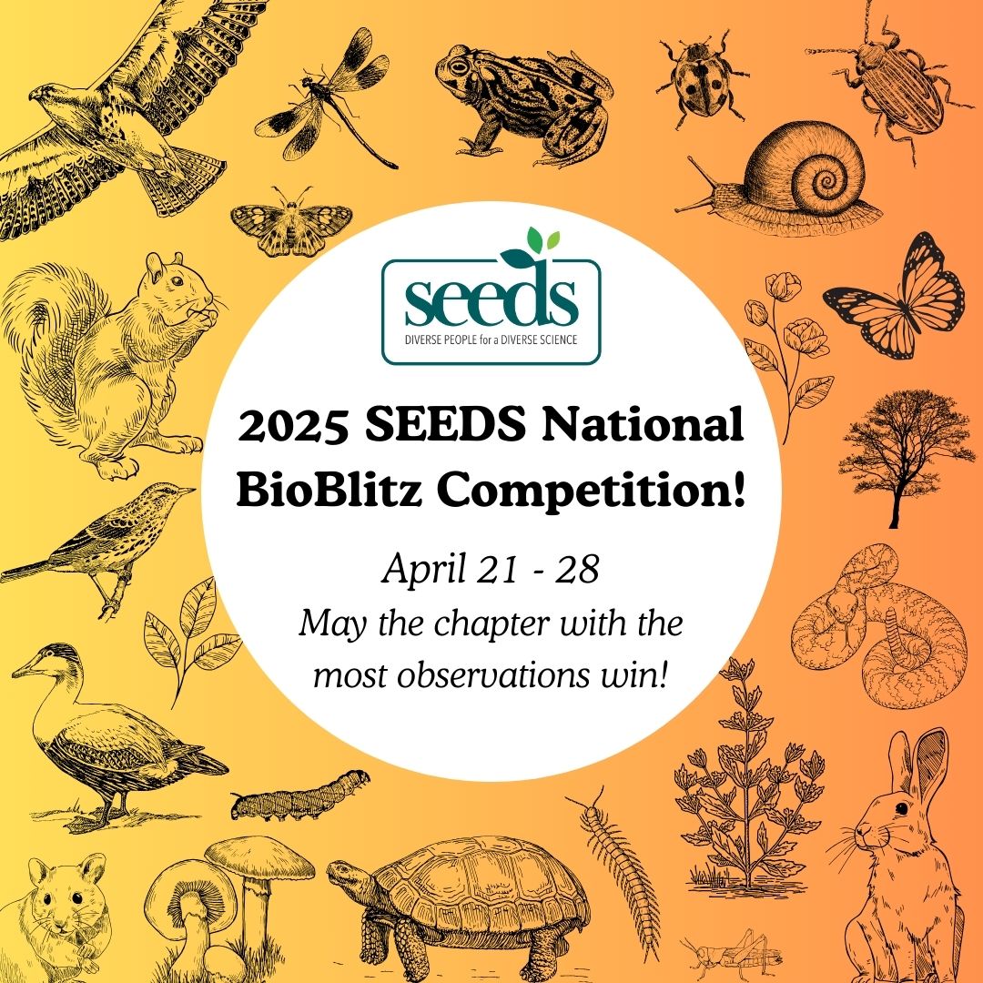 2025 SEEDS National BioBlitz Competition – SEEDS