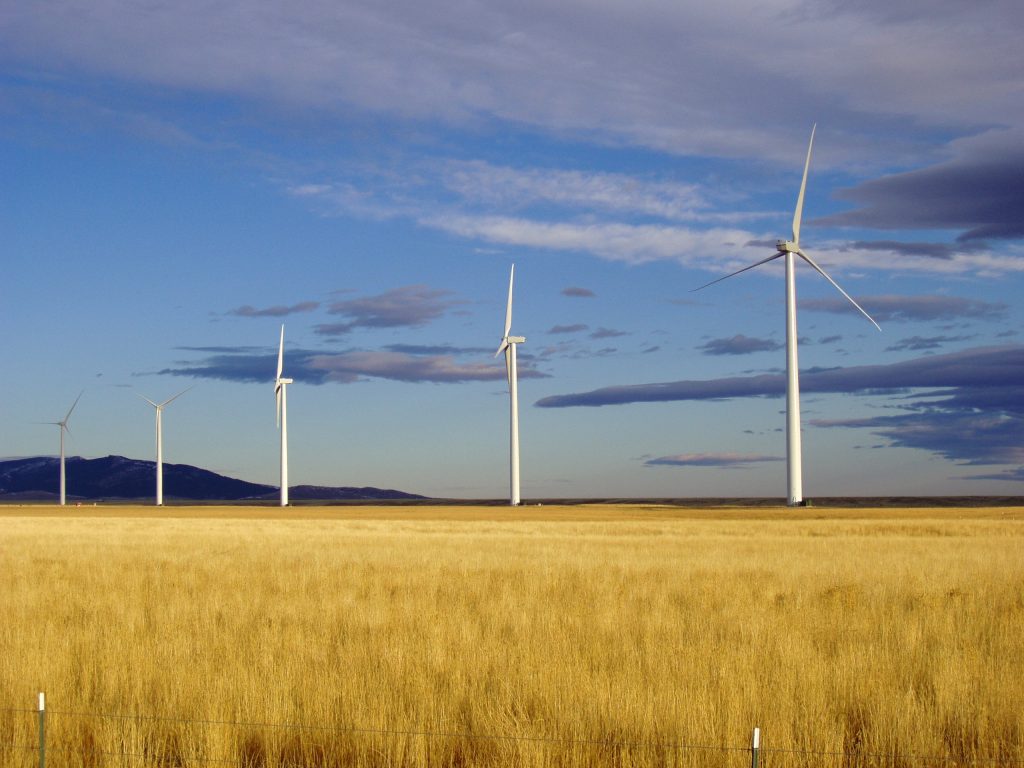 New Report Deepens Understanding of Wind-Wildlife Interactions ...