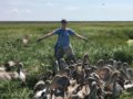 ESA-USGS Cooperative Summer Fellowship Program – Ecological Society of ...